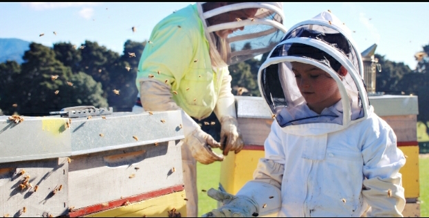 The Ultimate Guide to 3 Layer Bee Suits: Unveiling the Protective Armor ...